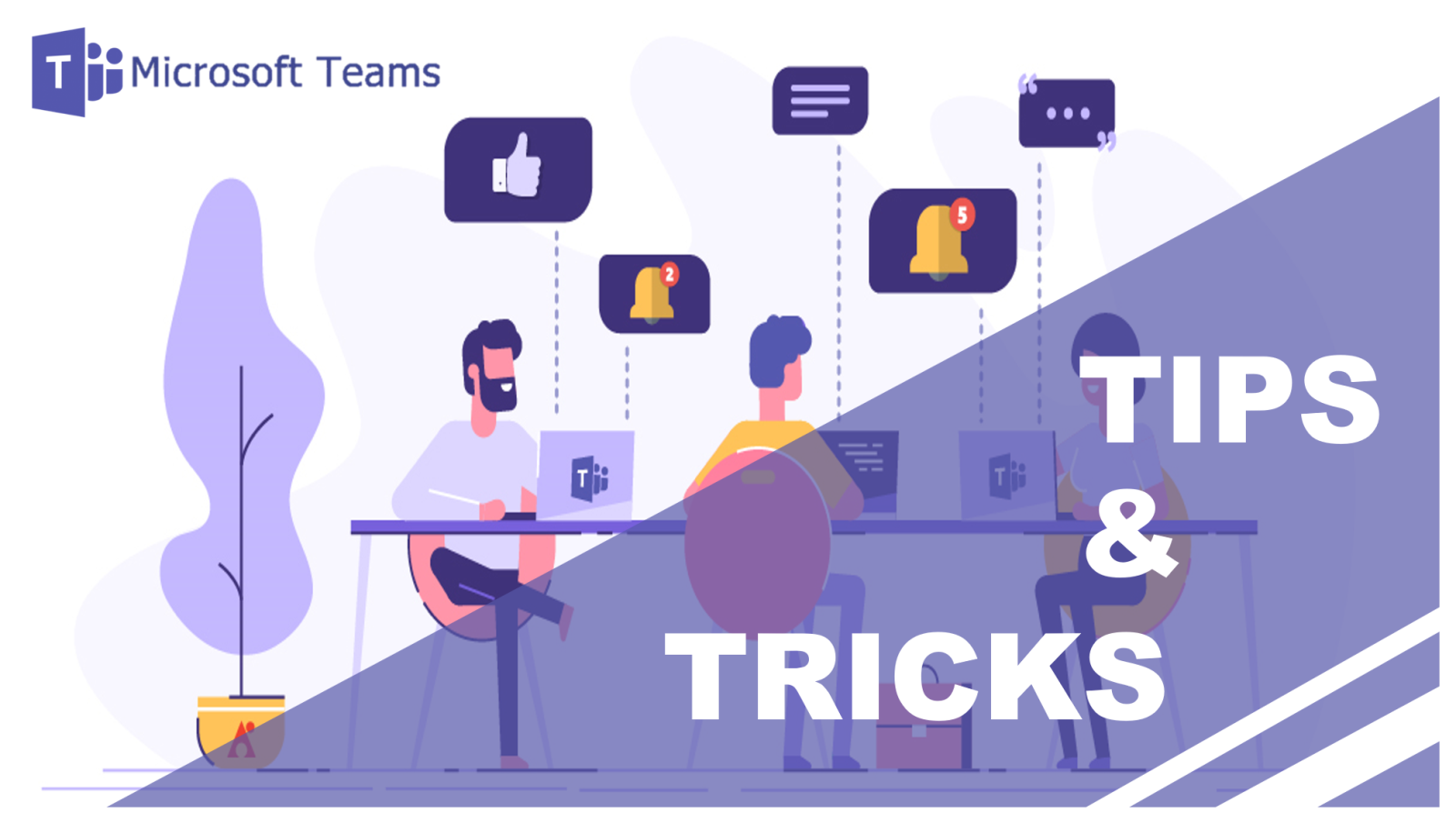 Introduction to Microsoft Teams - Products - Pensacola State College eStore